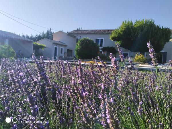 Le Mas Des Calus Chambres D'hôtes - Cavaillon