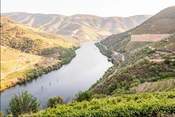 Quinta De Merouço - Casa Do Rio - Alijó