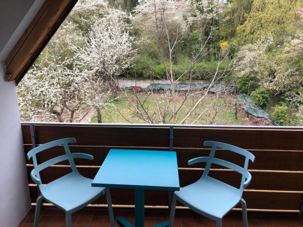 Blaues Zimmer Mit Grossem Balkon, Bad Ist Ein Traum, 50 Schritte Zum Radweg Am Main, Weinfest Besuchen - バイエルン