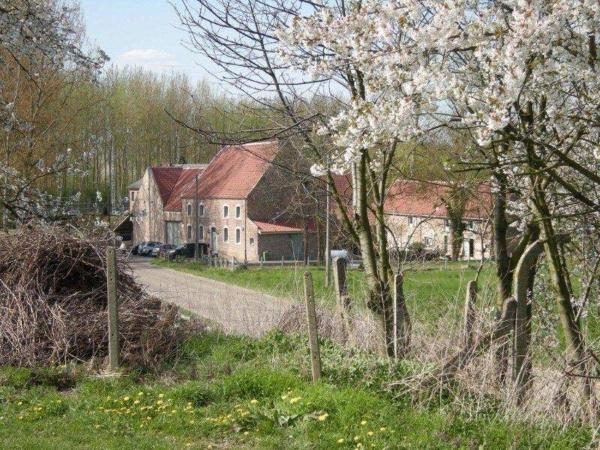 De Verborgen Parel B&b - Sint-Truiden