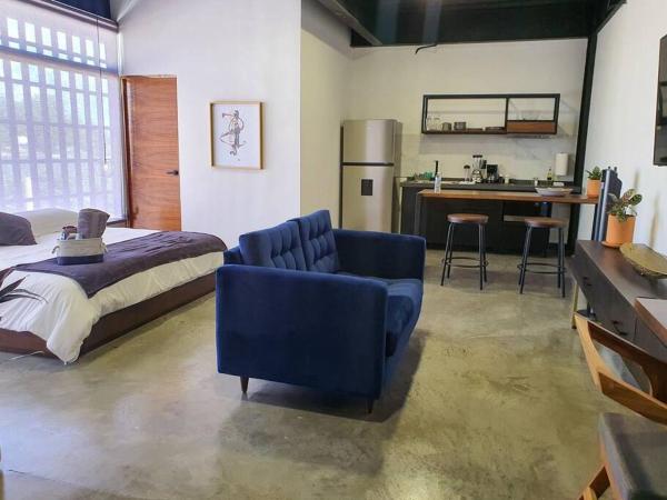 Loft Plata En Excelente Ubicación - San Luis Potosí