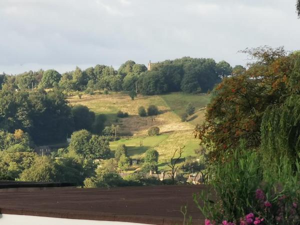 A Bird House - Derbyshire