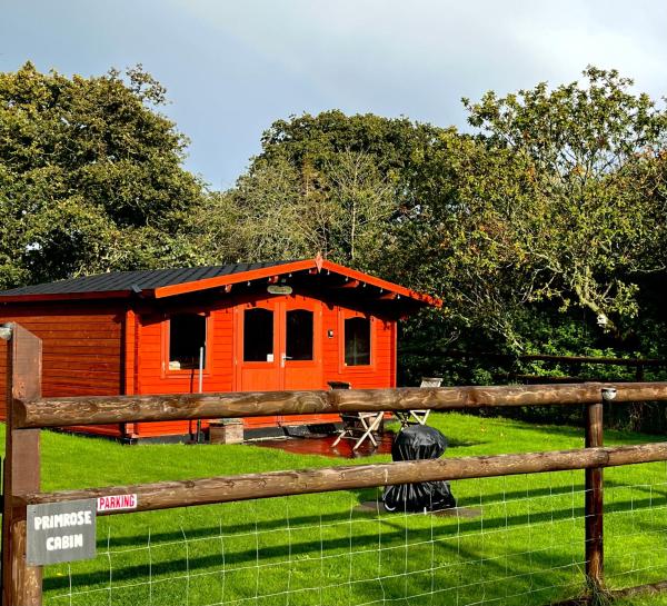 Primrose Cabin - Lulworth Cove