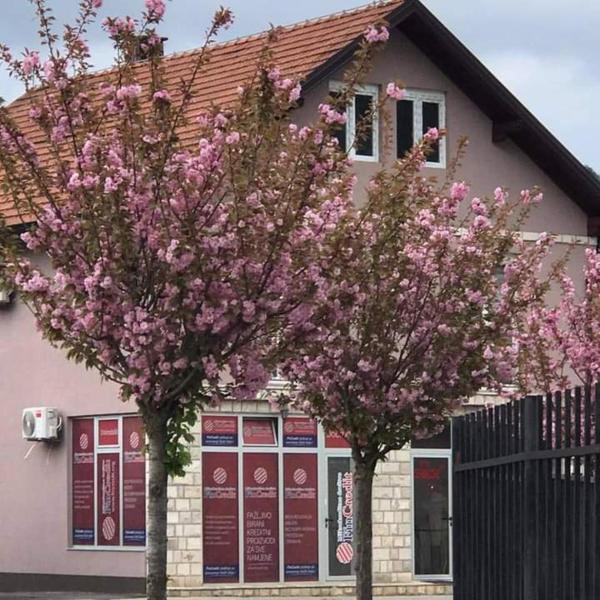 Apartman Poljčić Višegrad - Bosnia and Herzegovina