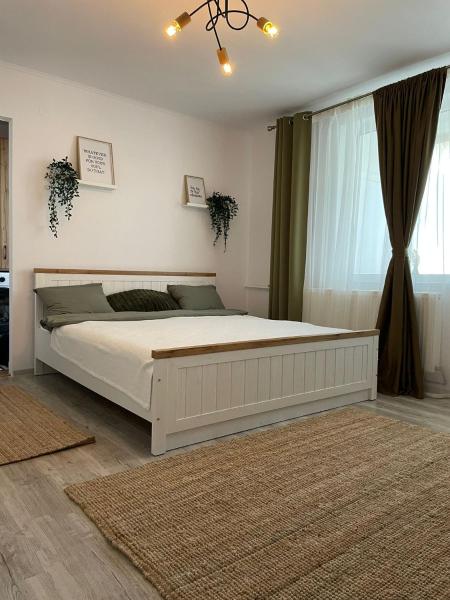 Carol Apartament's - Timișoara