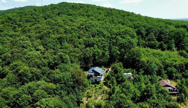 Beauty Wood House In The Forest - Aluniș