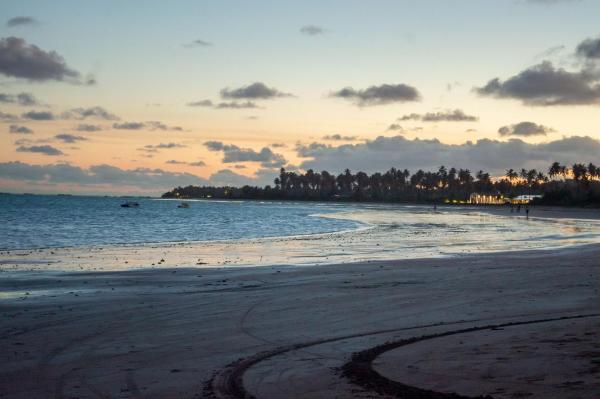Excelente Aparamento Em Milagres à 100 Metros Da Praia - São Miguel dos Milagres