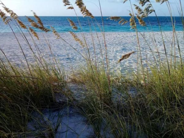 Apartment Near Grace Bay Beach - Turks and Caicos Islands