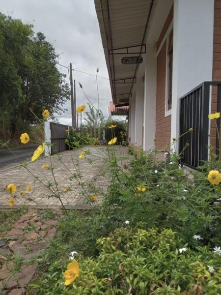 Windy Hanthana - Kandy