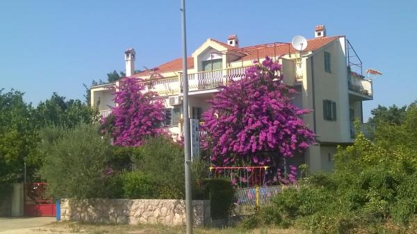 Guest House Neda - Biograd na Moru