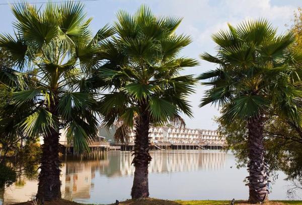 Scenic Carolina Waterfront Rentals - Arco - Goose Creek, SC