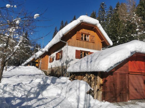 Pohorje House 2 Four Appartmetns - Slovenia
