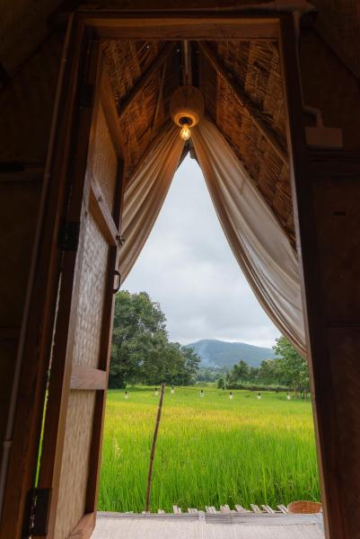 Paddy Fields Haven - Natures Nest - Mae Hong Son