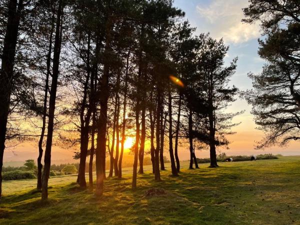 Cosy Cabins Without Hot Tub - Greenway Farm, Drybrook, Forest Of Dean - Worcestershire