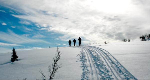 Fantastic And High Standard Apartment In Nordseter - Norway