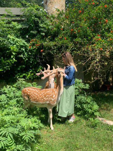 Polonezköy Country Club & Accommodation In The Wildlife Park! - Istanbul