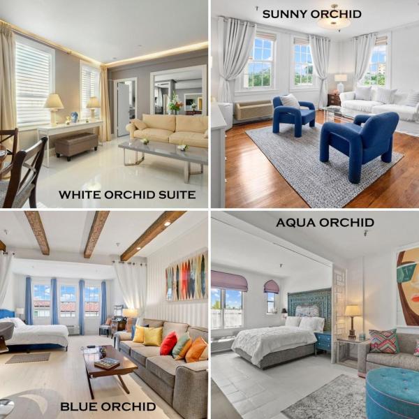 Orchid Suites - Historic Palm Beach Hotel Condominium - 棕櫚灘