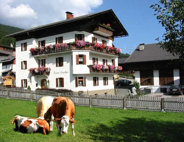 Erlebenswert Bauernhof Gruber - Austria