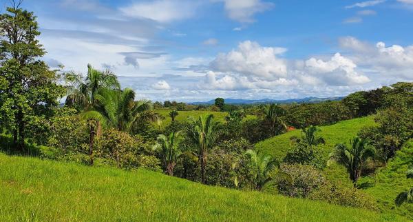 La Loma Del Mango - Osez L'insolite Tout Confort ! - Panama