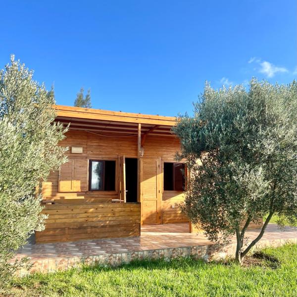 Ecolodge Vert, Benslimane - Mohammédia