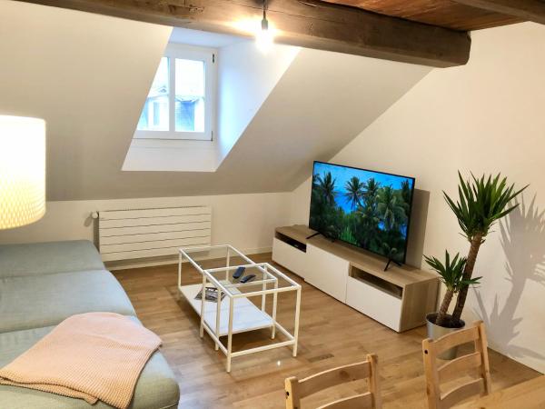 Old Town Apartments - Berne