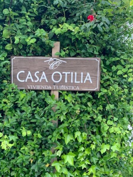 Casa Otilia - Rural - Camino De Santiago - Arzúa - Arzúa
