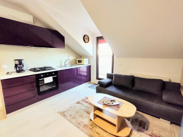 Simona Apartament Palas Mall - Iași