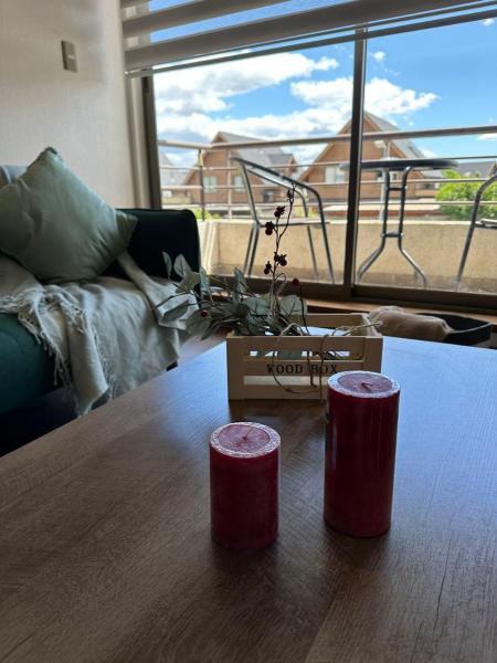 Cómodo Departamento 1d+1b - Los Ángeles