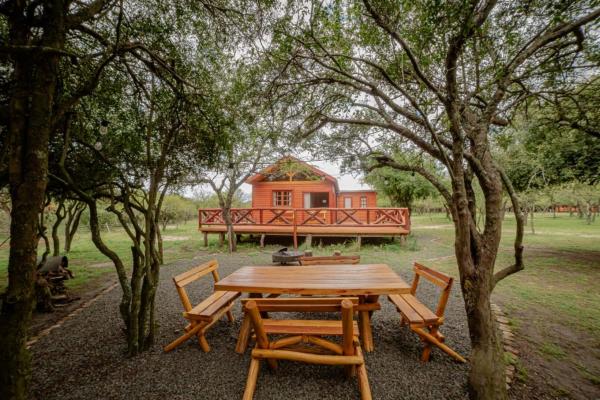Cabañas Del Viñedo - La Paz, Argentina