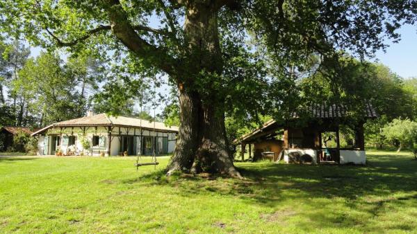 Le Gîte De Marquin - Morcenx