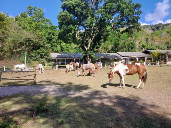Ranch Black Horse - Les Anses-d'Arlet