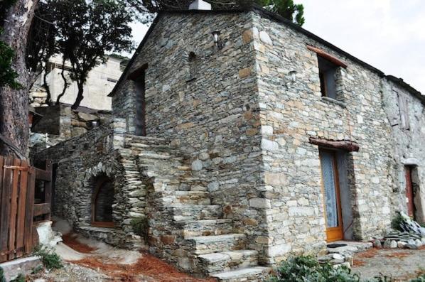 Cabanon Timanthe - Canari