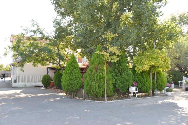 Apartman Teo - Požarevac