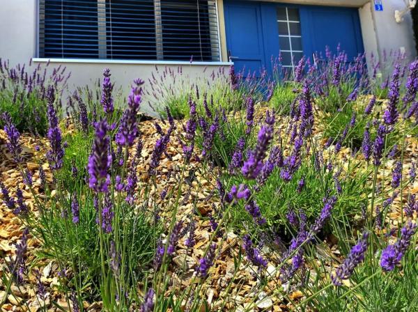 Sonniges Studio Mit Aussicht - Sankt Anton