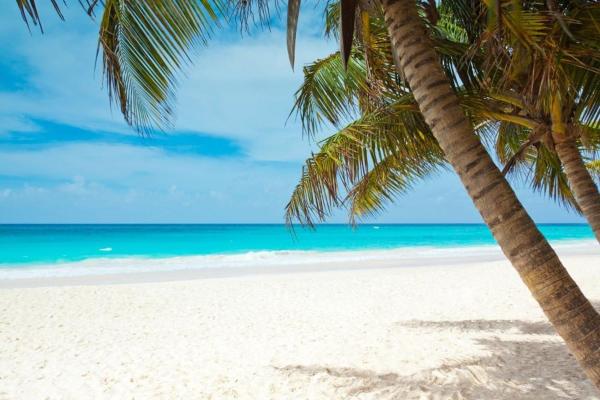 All Season Paradise In Cortez - Ellenton, FL