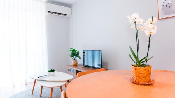 Cervantes Prime - Valencia