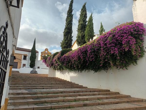 Suites Casa San Mateo - Córdoba, Espagne