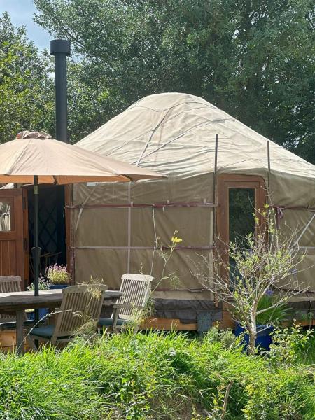 The Yurt @ Penbanc Pasture - Cardigan