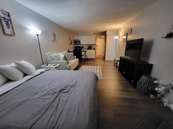 Cedar Lodge Condo With Lake Winnipesaukee Views; Close To Weirs Beach!! - New Hampshire (State)