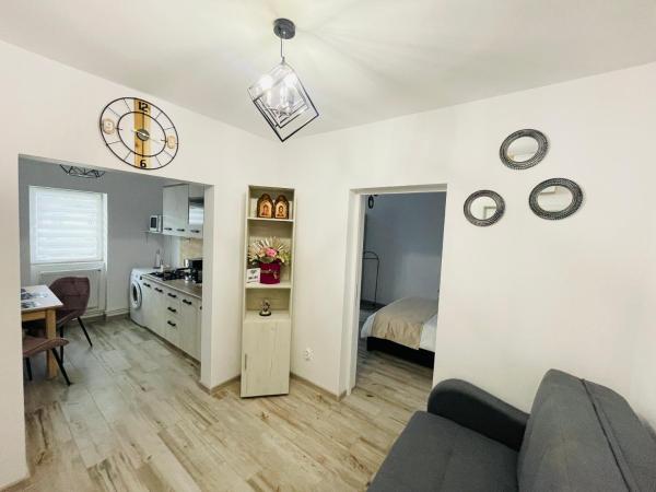 Apartament Chic - Dorna Candrenilor