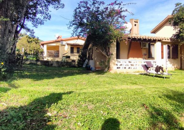 Bouganville - Costa Rei