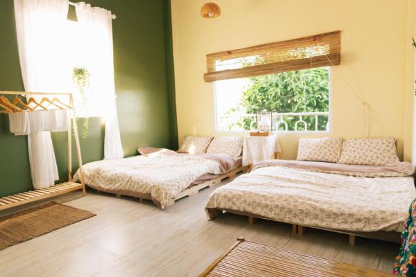 Phòng Chôm Chôm (Rambutan Room) - Nhà Mơ Homestay Bến Tre - Ben Tre