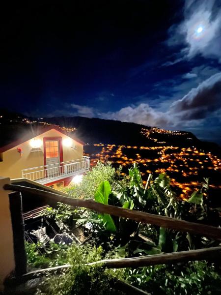 Tropical House - Madeira