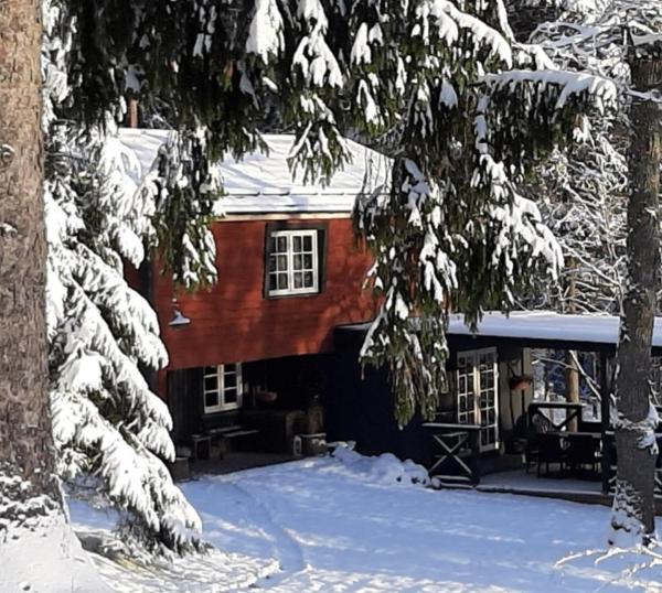 Mošķu Pirts Meža Māja - Latvia