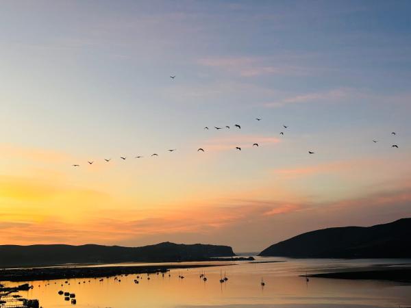 De View - Knysna