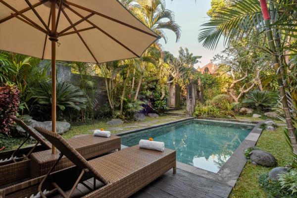 Buana Tirta Ubud Villa - Ubud