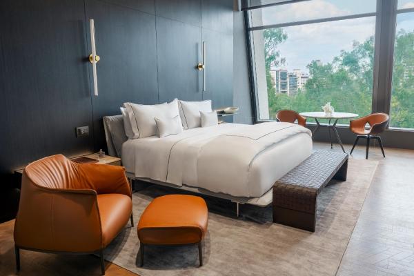 Alexander Hotel - Ciudad de México