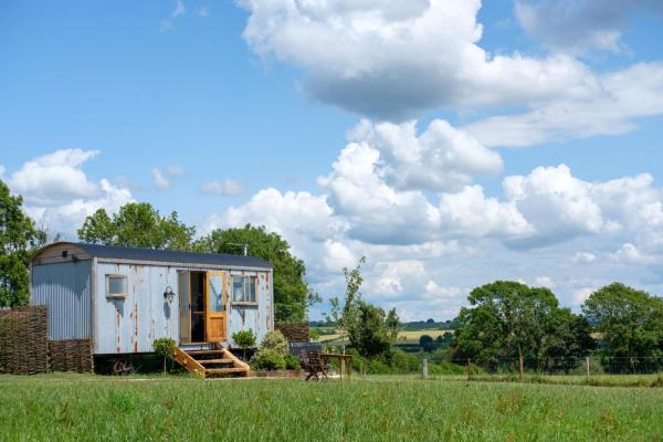 Honey Bee - Comfortable Luxury Shepherds Hut With Hot Tub - Bridport, UK