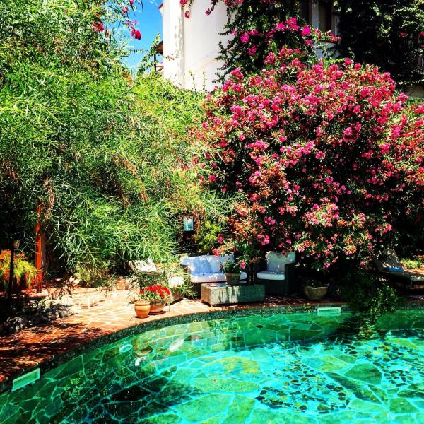 El Vino Hotel & Suites - Torba
