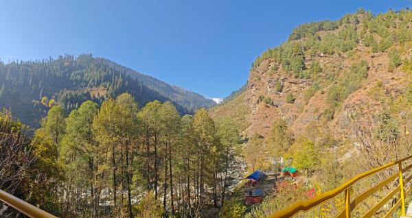 Alooma Cafe And Homestay - Manali